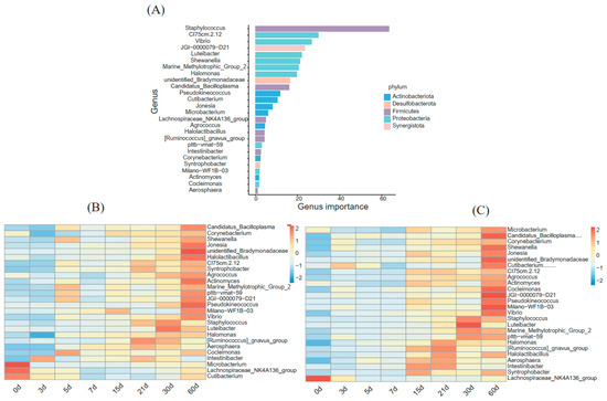 Longitudinal Changes in Milk Microorganisms in the First Two Months of ...