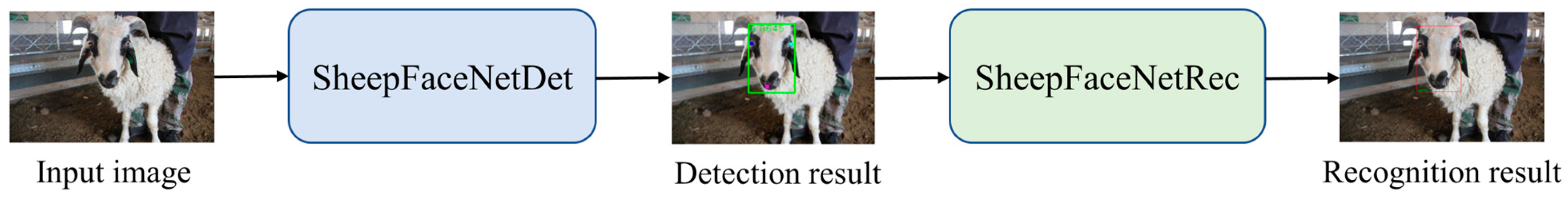 SheepFaceNet: A Speed–Accuracy Balanced Model for Sheep Face Recognition