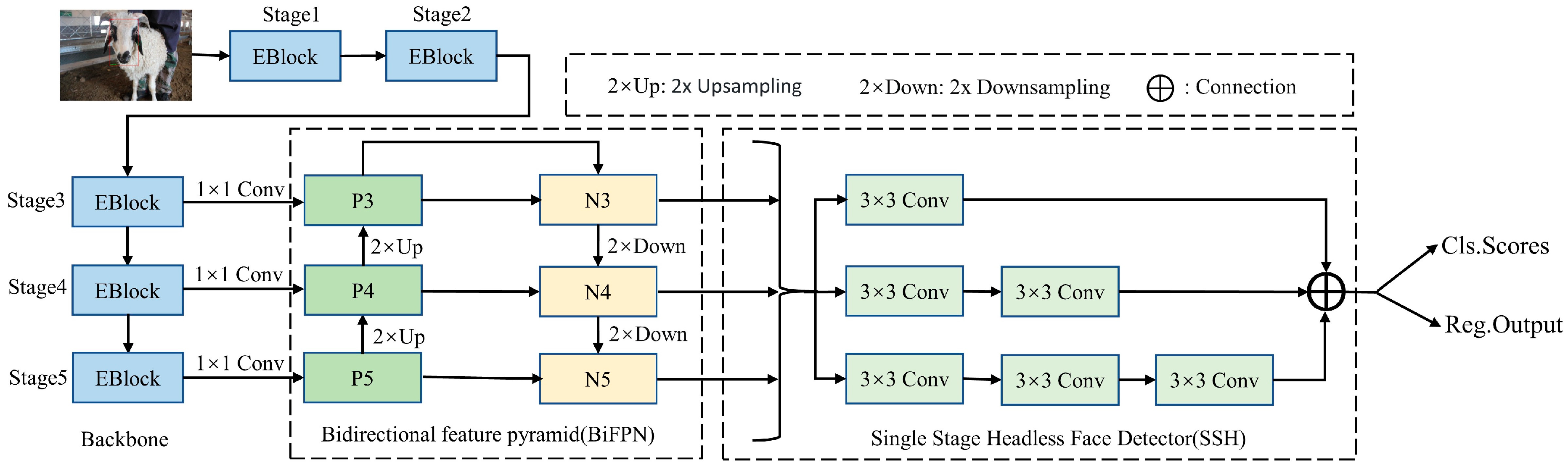 SheepFaceNet: A Speed–Accuracy Balanced Model for Sheep Face Recognition