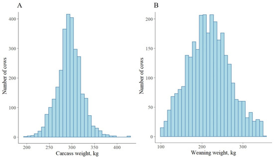 Predicting Carcass Weight of Grass-Fed Beef Cattle before Slaughter ...