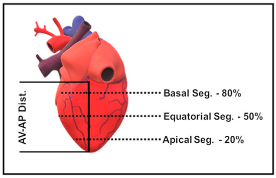 Morphogeometric Evaluation of the Left Ventricle and Left ...