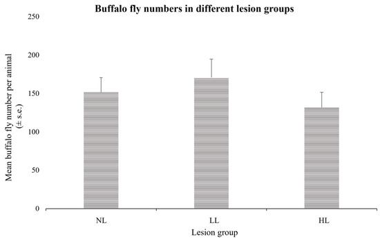 The Development of Cutaneous Lesions in Tropically Adapted Beef Cattle ...