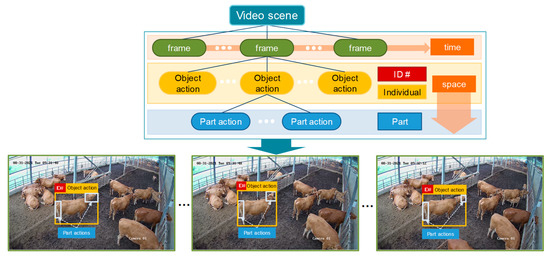 Animals | Free Full-Text | Multiview Monitoring of Individual Cattle Behavior Based on Action ...