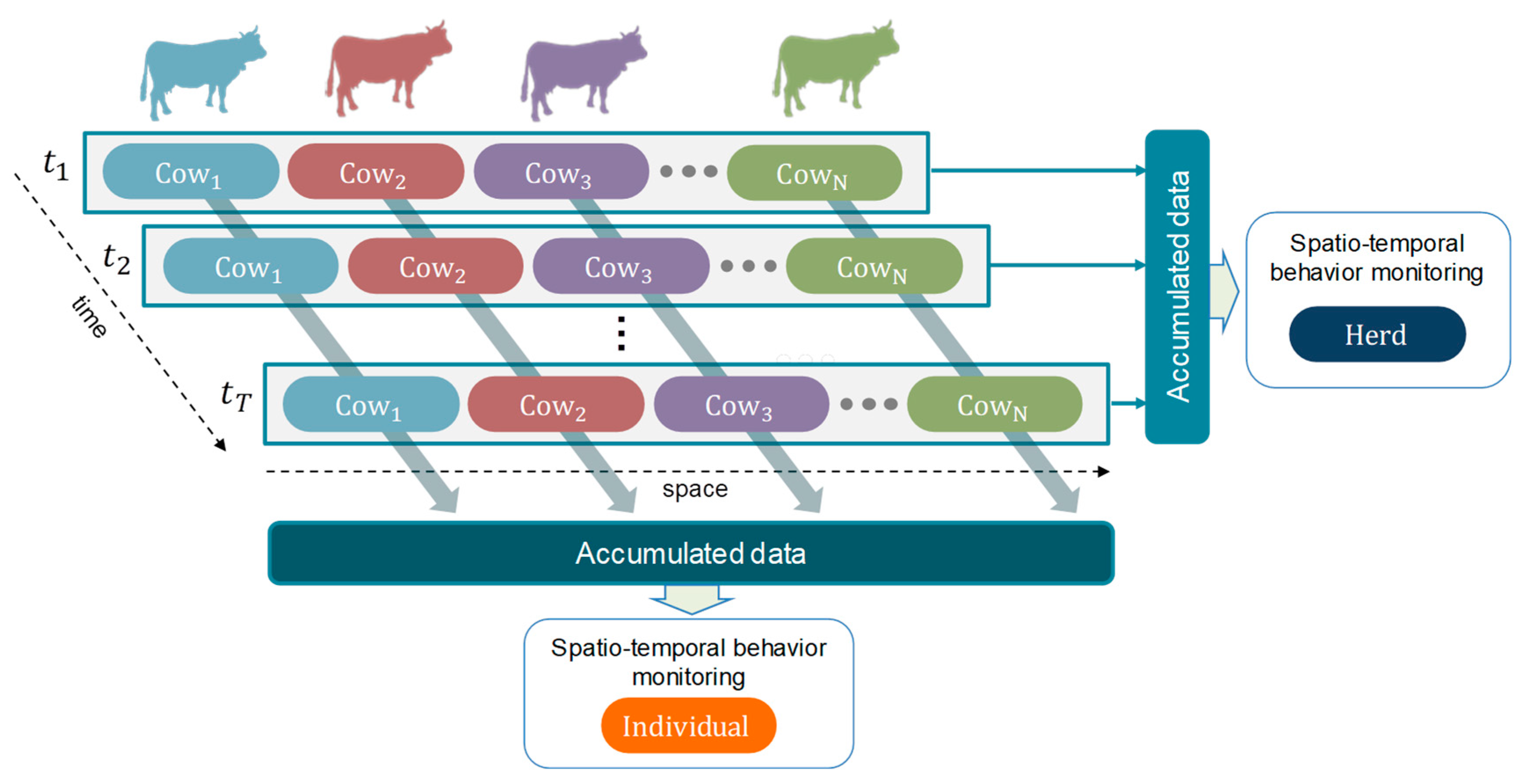 Animals | Free Full-Text | Multiview Monitoring of Individual Cattle Behavior Based on Action ...