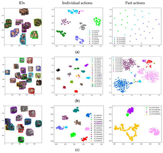 Animals | Free Full-Text | Multiview Monitoring of Individual Cattle Behavior Based on Action ...