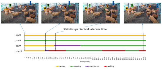 Animals | Free Full-Text | Multiview Monitoring of Individual Cattle ...