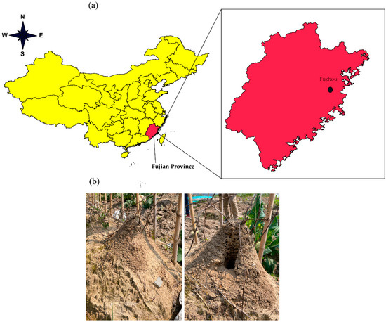 Impact of Red Imported Fire Ant Nest-Building on Soil Properties and ...
