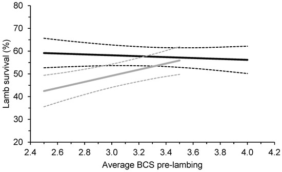 Management of Body Condition Score between Pregnancy Scanning and Lamb ...