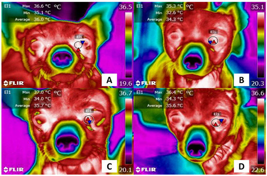Assessment of Pain and Inflammation in Domestic Animals Using Infrared ...