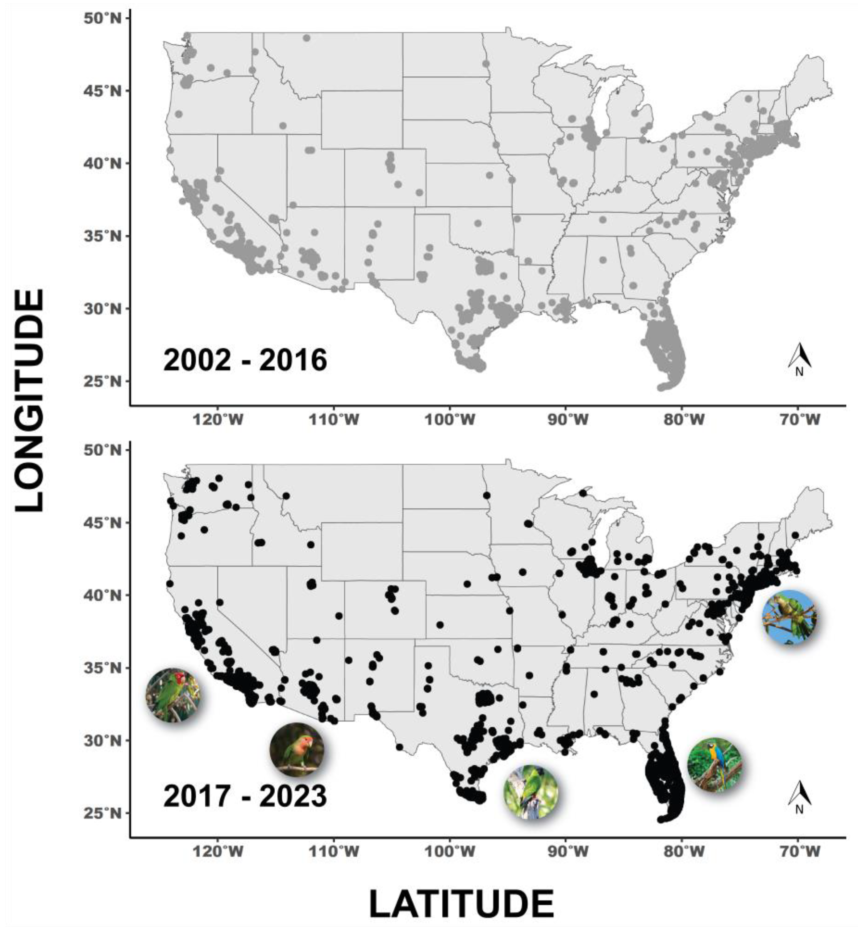 Patterns and Factors Influencing Parrot (Order: Psittaciformes) Success ...
