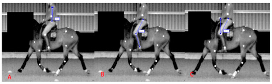 Saddle Thigh Block Design Can Influence Rider and Horse Biomechanics