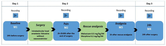 Animals | Free Full-Text | Development and Validation of the Unesp ...