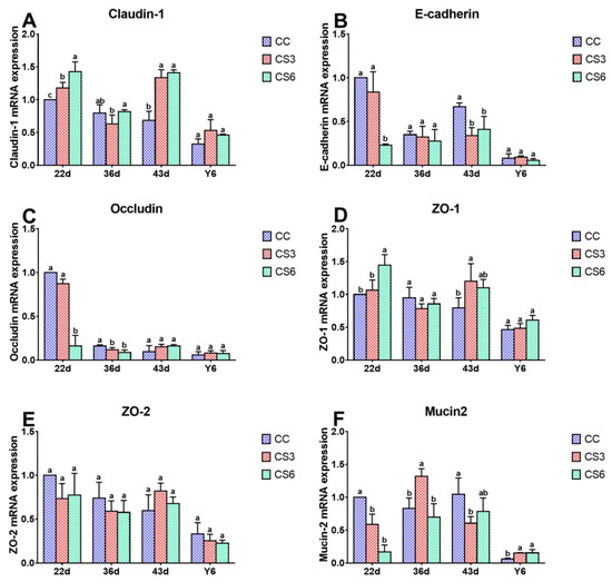 Intermittent and Mild Cold Stimulation Maintains Immune Function ...