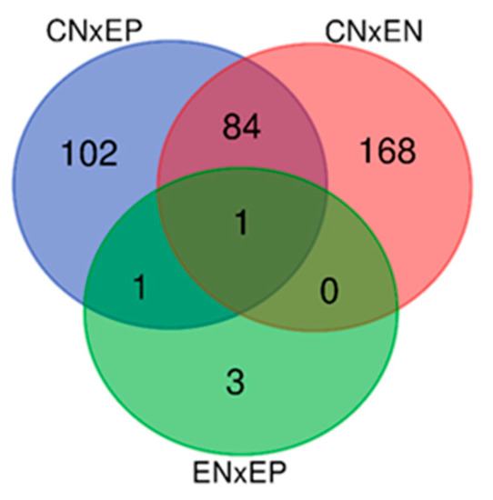 Comparative Characterization of Immune Response in Sheep with Caseous ...