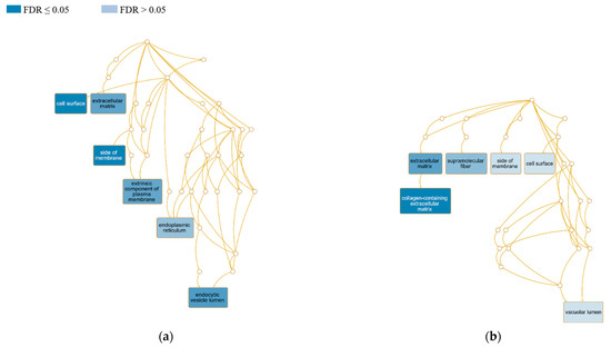 Comparative Characterization of Immune Response in Sheep with Caseous ...