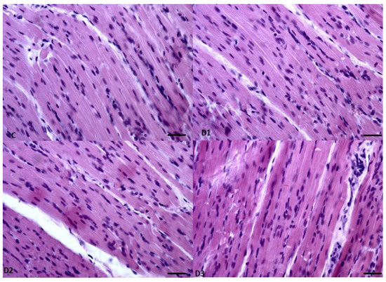 The Impact of a Phytobiotic Mixture on Broiler Chicken Health and Meat ...