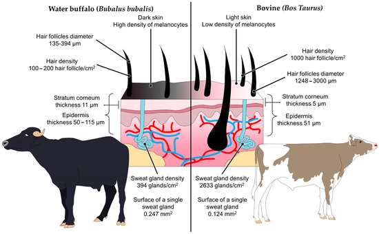 Strategies and Mechanisms of Thermal Compensation in Newborn Water ...