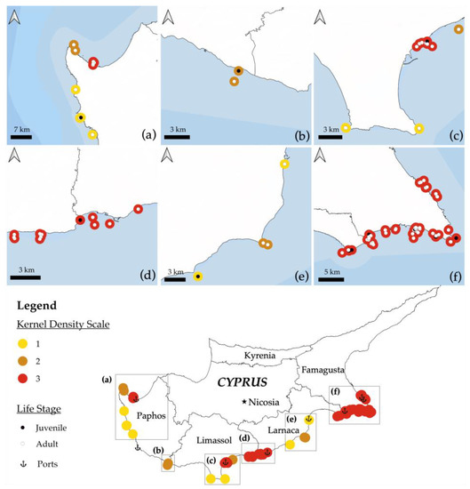 Animals | Free Full-Text | Understanding the Interactions between Small ...