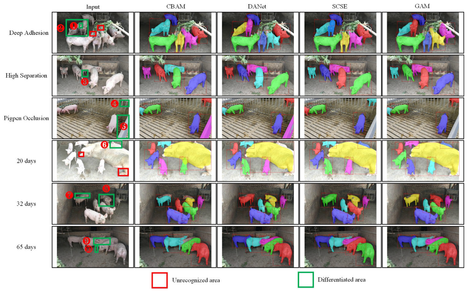 Attention-Guided Instance Segmentation for Group-Raised Pigs
