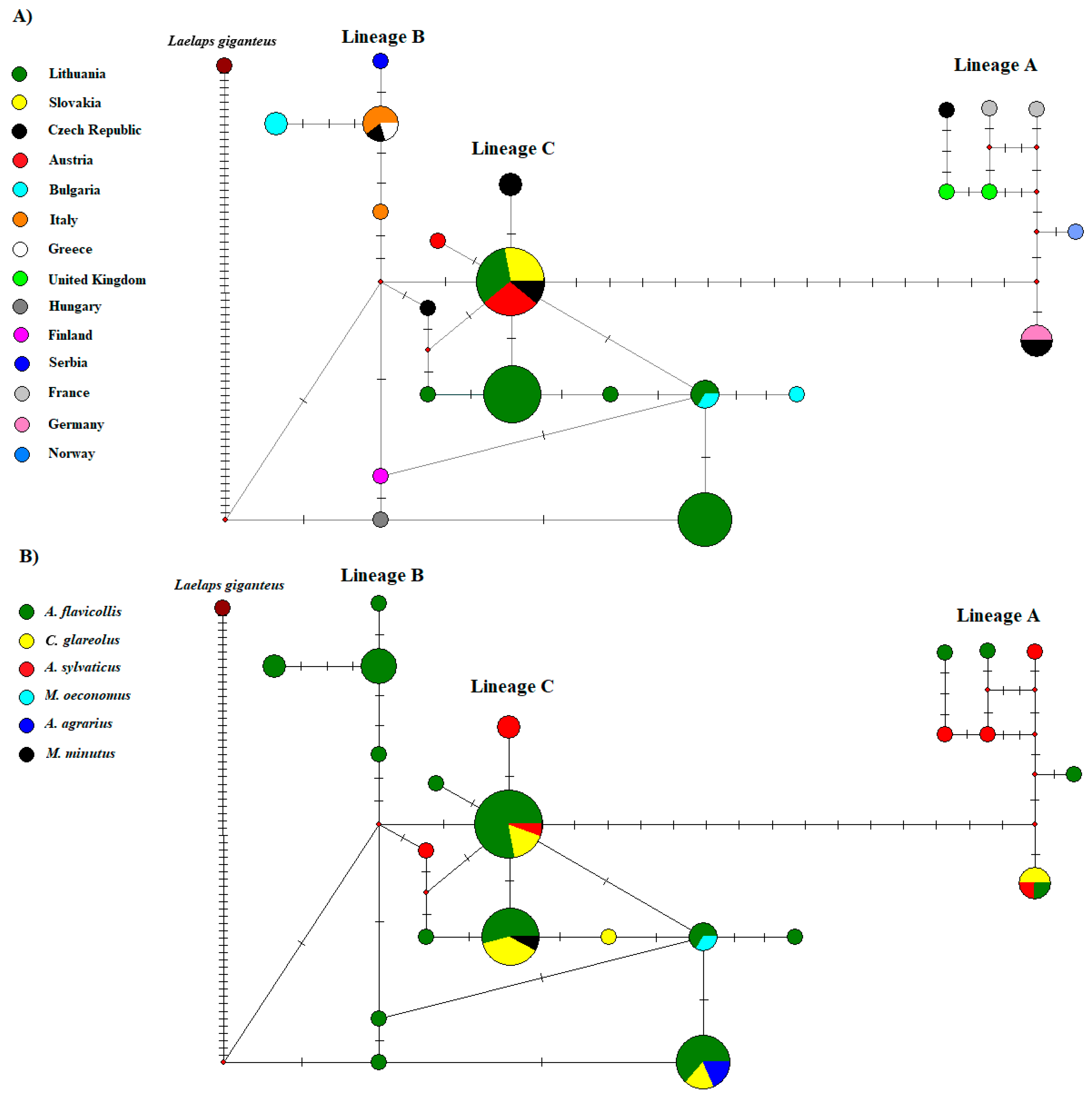 Molecular Identification and Phylogenetic Analysis of Laelapidae Mites ...