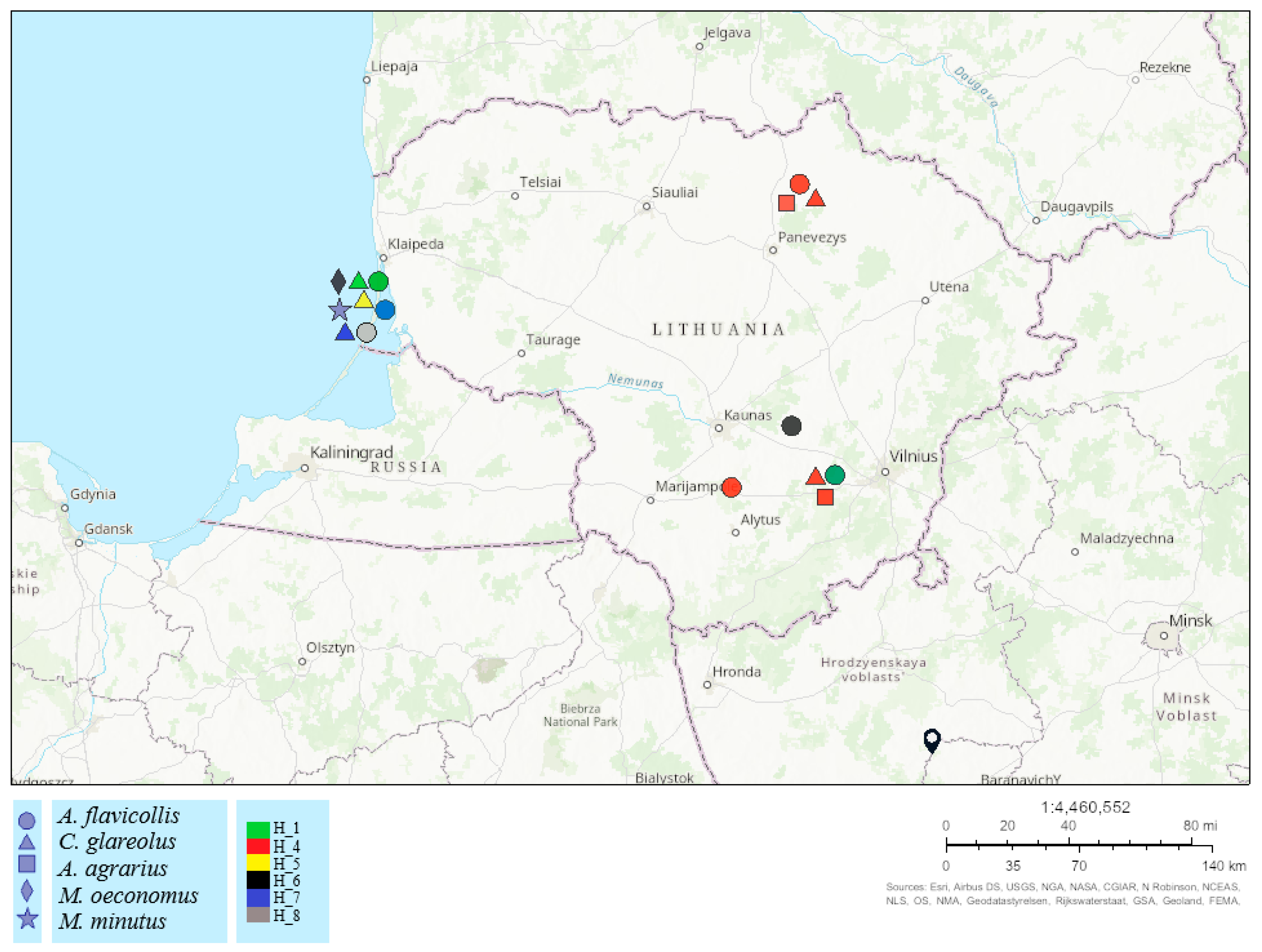 Molecular Identification and Phylogenetic Analysis of Laelapidae Mites ...