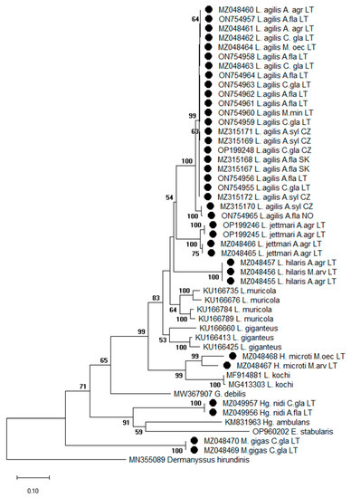 Molecular Identification and Phylogenetic Analysis of Laelapidae Mites ...