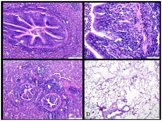 Association between Enzootic Pneumonia-like Lung Lesions and Carcass ...