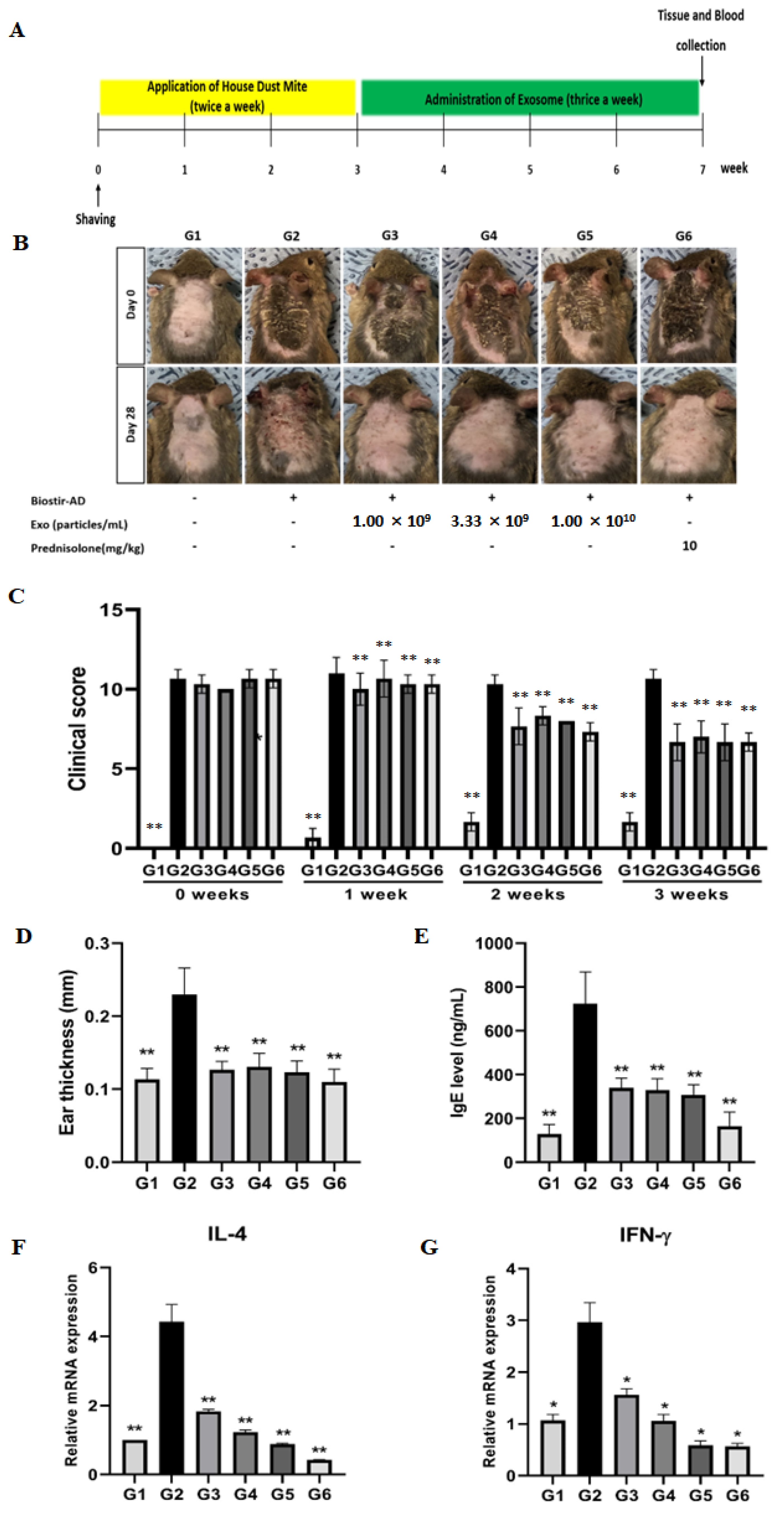 Canine Mesenchymal-Stem-Cell-Derived Extracellular Vesicles Attenuate ...