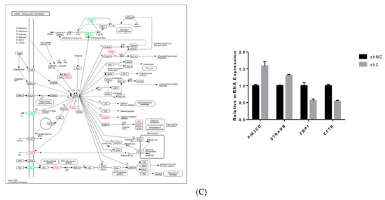 Interference with DGAT Gene Inhibited TAG Accumulation and Lipid ...