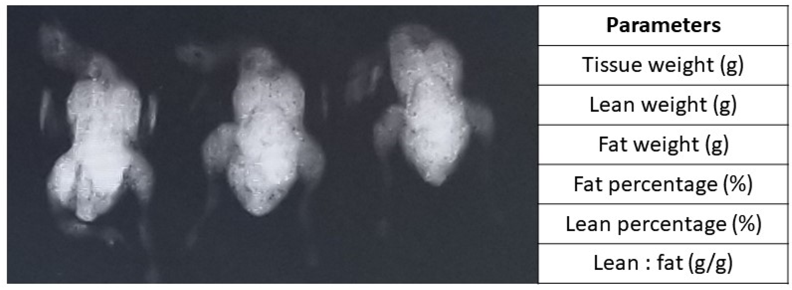 Effects of Different Eimeria Inoculation Doses on Growth Performance ...