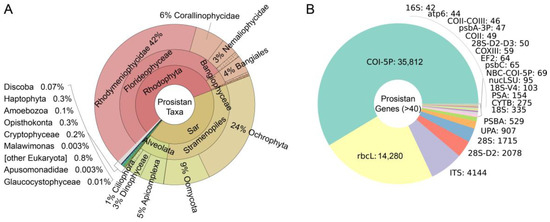 A Large-Scale Study into Protist-Animal Interactions Based on Public ...