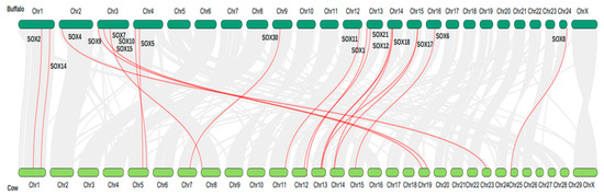 Genome-Wide Identification, Evolutionary and Mutational Analysis of the ...