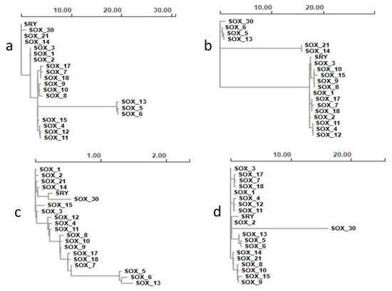 Genome-Wide Identification, Evolutionary and Mutational Analysis of the ...