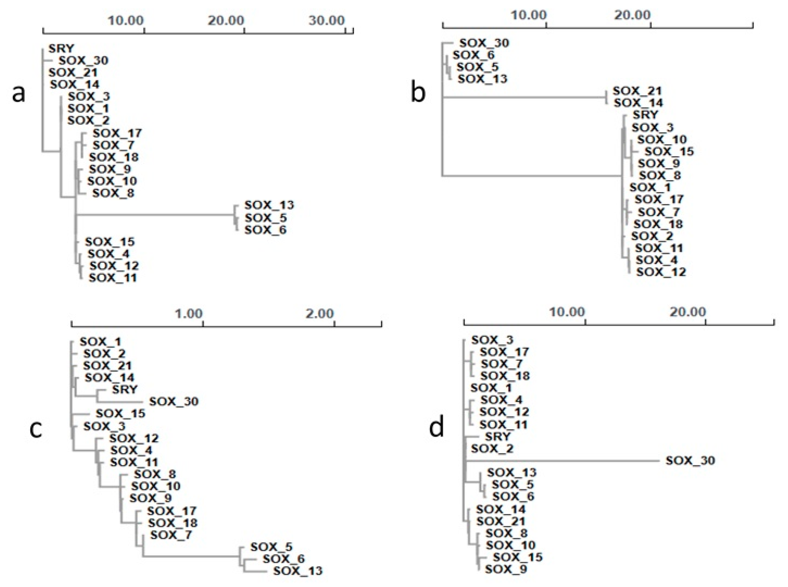 Genome-Wide Identification, Evolutionary and Mutational Analysis of the ...