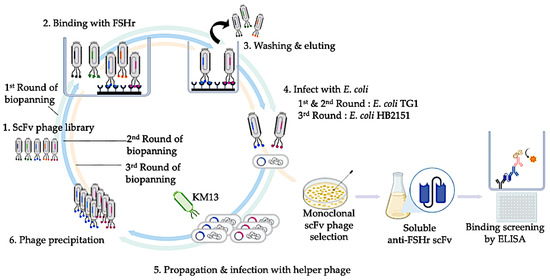 Impaired Testicular Function without Altering Testosterone ...