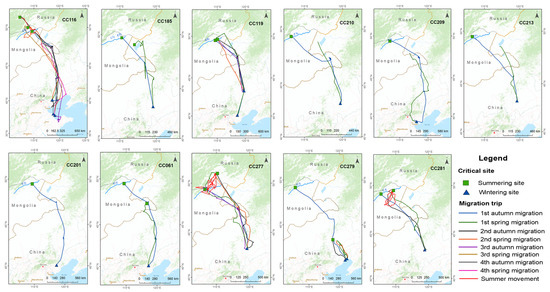 Migration Pattern, Habitat Use, and Conservation Status of the Eastern ...