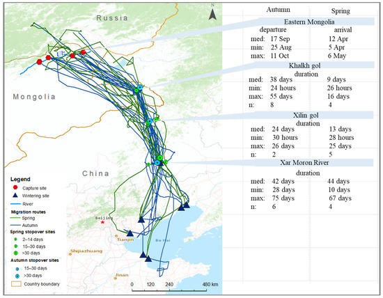Migration Pattern, Habitat Use, and Conservation Status of the Eastern ...