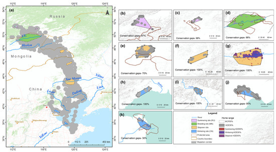 Migration Pattern, Habitat Use, and Conservation Status of the Eastern ...