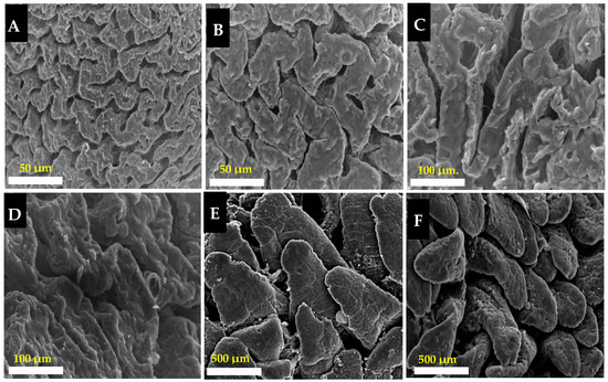Diversity and Co-Occurrence Pattern Analysis of Cecal and Jejunal ...