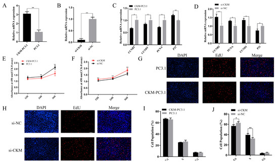 Transcriptome-Based Identification of the Muscle Tissue-Specific ...