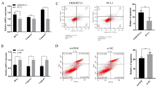 Transcriptome-Based Identification of the Muscle Tissue-Specific ...