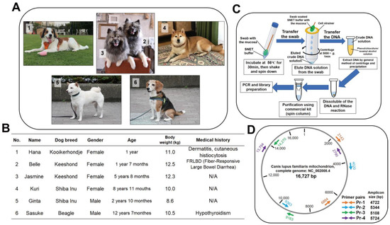 Establishing a Sequencing Method for the Whole Mitochondrial DNA of ...