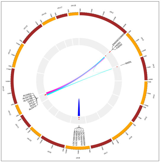 Copy Number Variation Regions Differing in Segregation Patterns Span ...