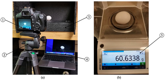 A Computer Vision-Based Automatic System for Egg Grading and Defect ...