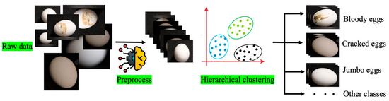 A Computer Vision-Based Automatic System for Egg Grading and Defect ...