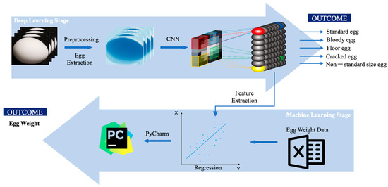 A Computer Vision-Based Automatic System for Egg Grading and Defect ...