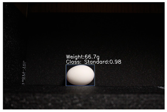 A Computer Vision-Based Automatic System for Egg Grading and Defect Detection