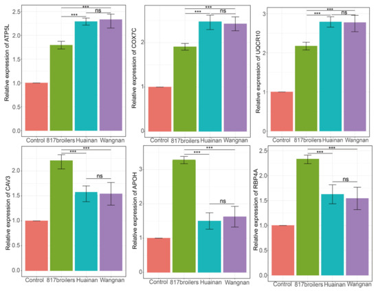 Identification of Key Modules and Hub Genes Involved in Regulating the ...