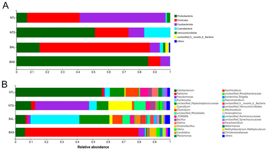 Fish Gut Microbiome Analysis Provides Insight into Differences in ...