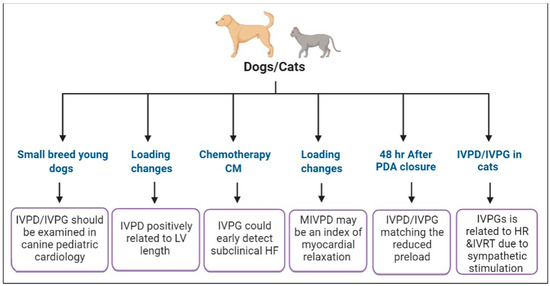 Non-Invasive Assessment of the Intraventricular Pressure Using Novel ...